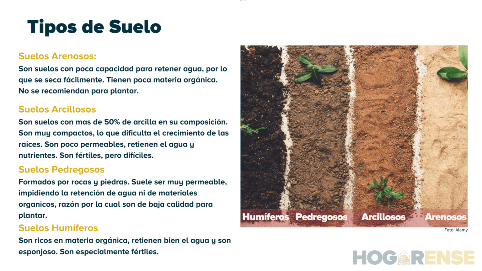 7 Consejos Prácticos Para Elegir Plantas Para Tu Jardín