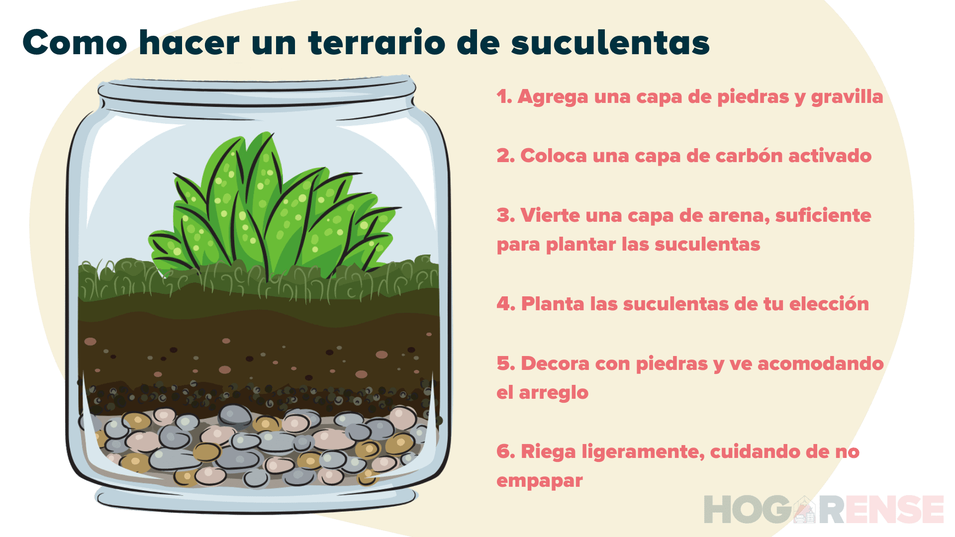 DIY - Como Hacer Un Terrario De Suculentas
